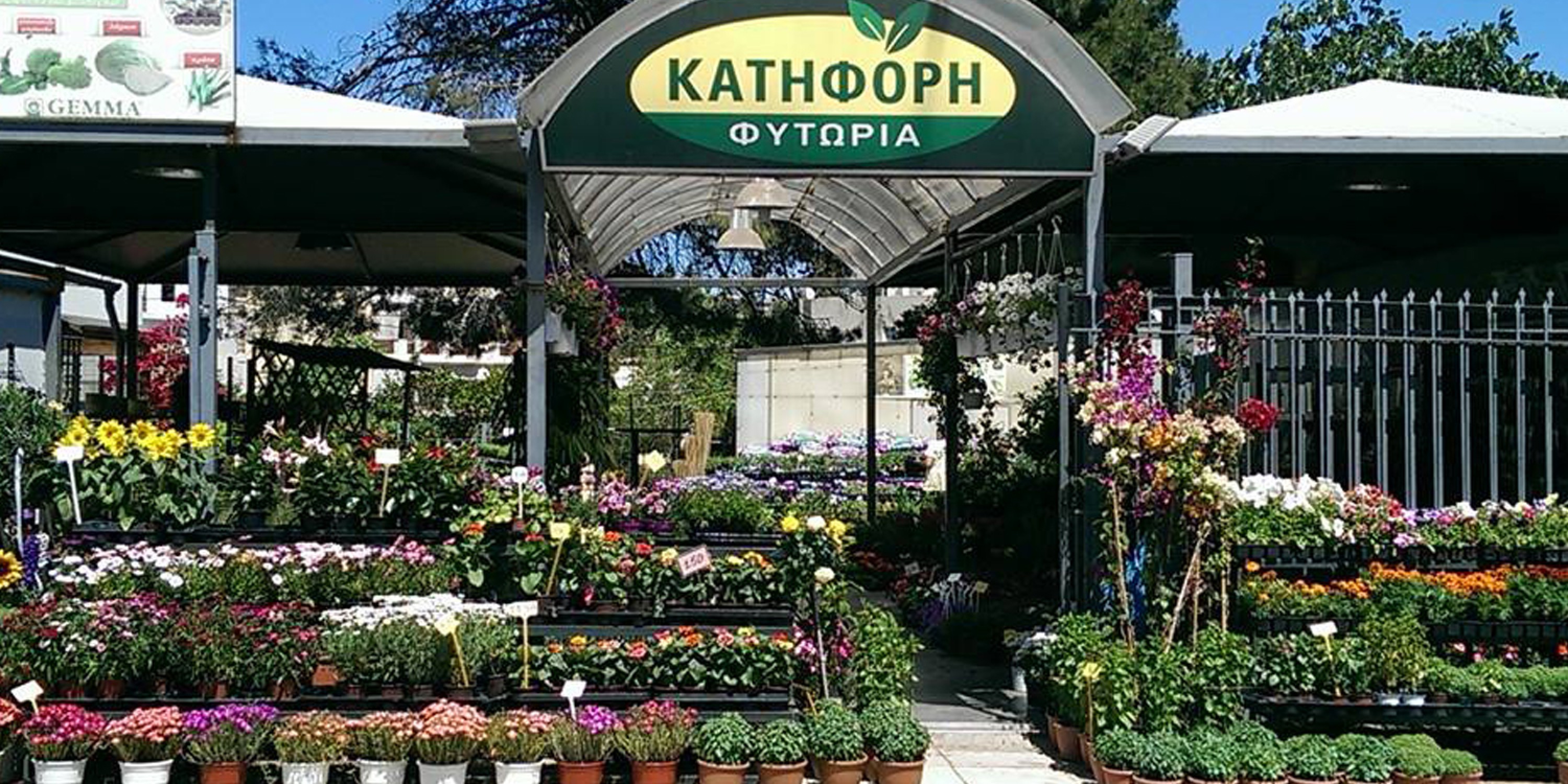 Φυτώρια Κατηφόρη, Φυτώριο-Ανθοπωλείο, στολισμοί εκδηλώσεων και γάμων